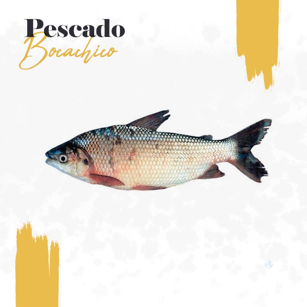 Bocachico frito – Mi Palenque
