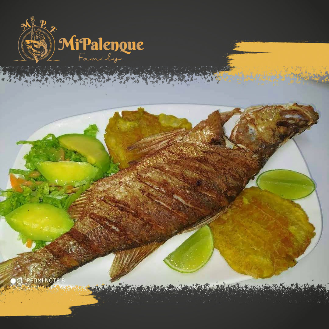 RÓBALO frito – Mi Palenque